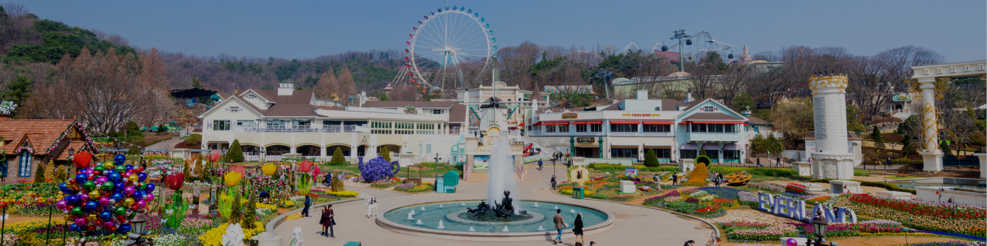 Everland Resort - Amusement Parks Packages